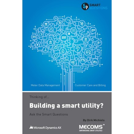 Building a Smart Utility – Smart Questions